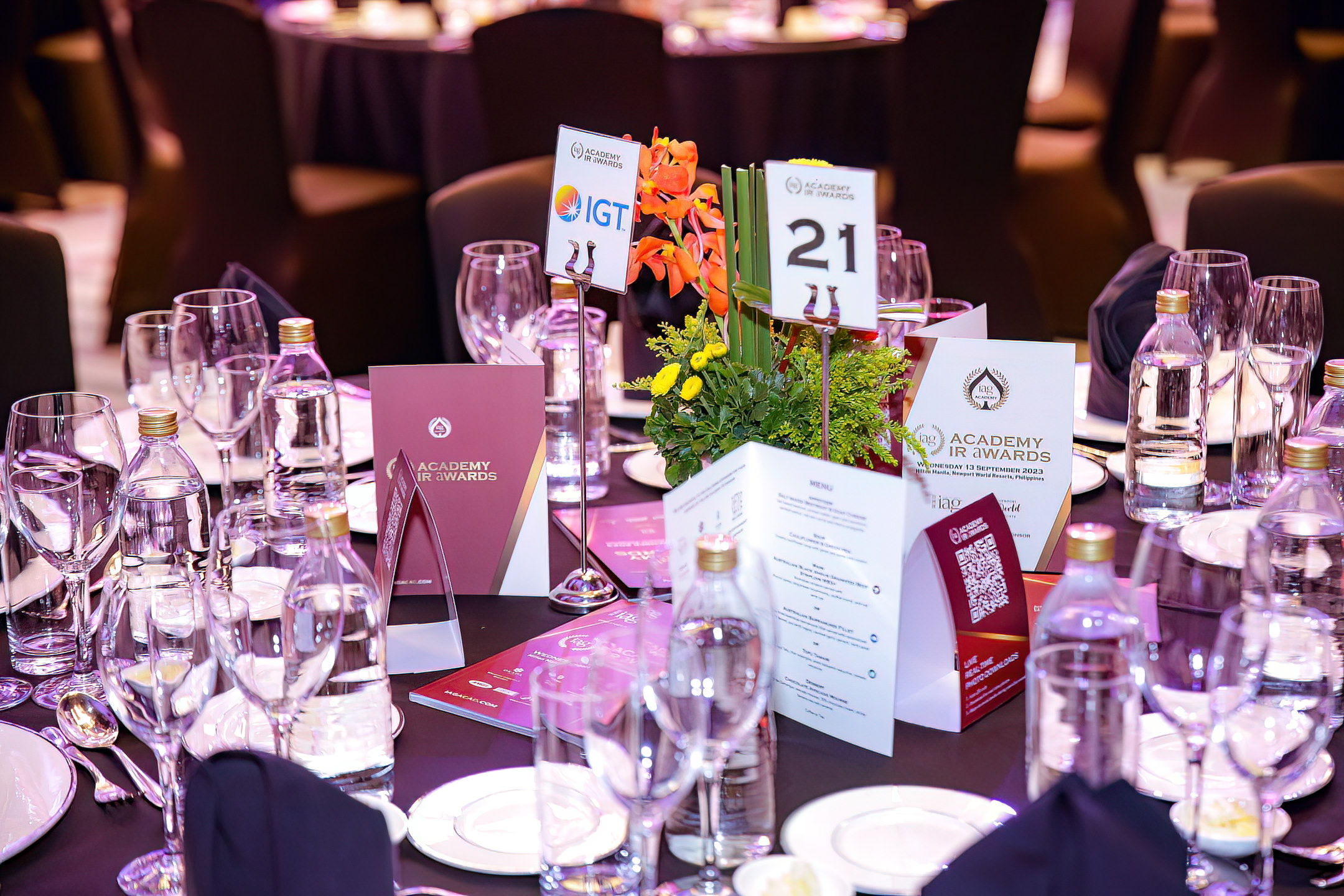 IR AWARDS > 2023 – IAG Academy