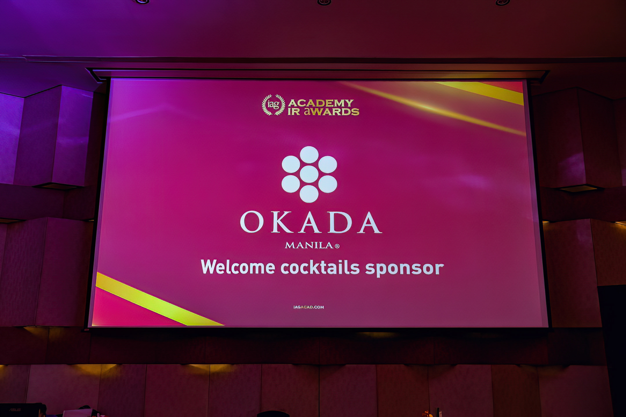 IR AWARDS > 2023 – IAG Academy