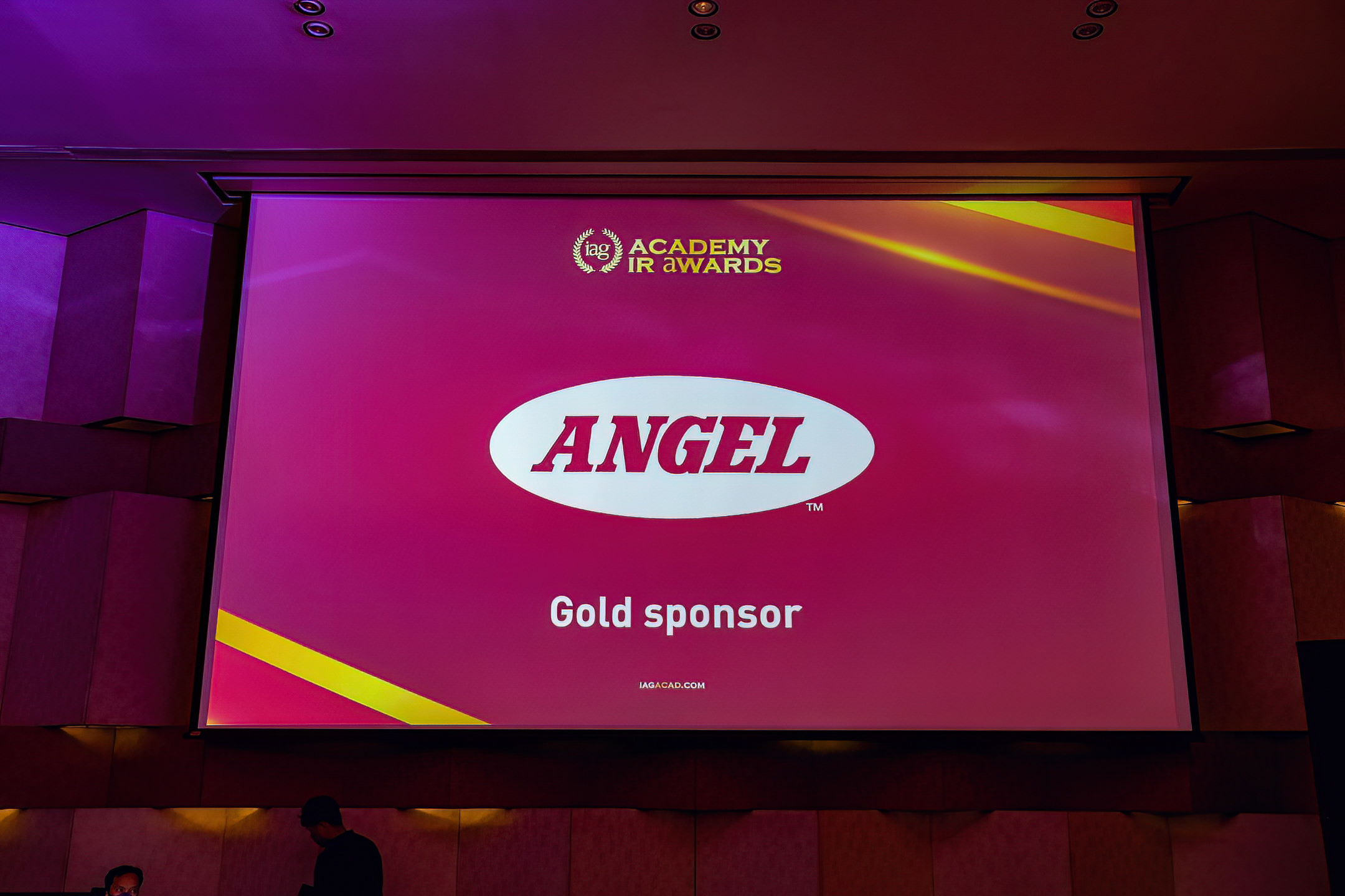 IR AWARDS > 2023 – IAG Academy