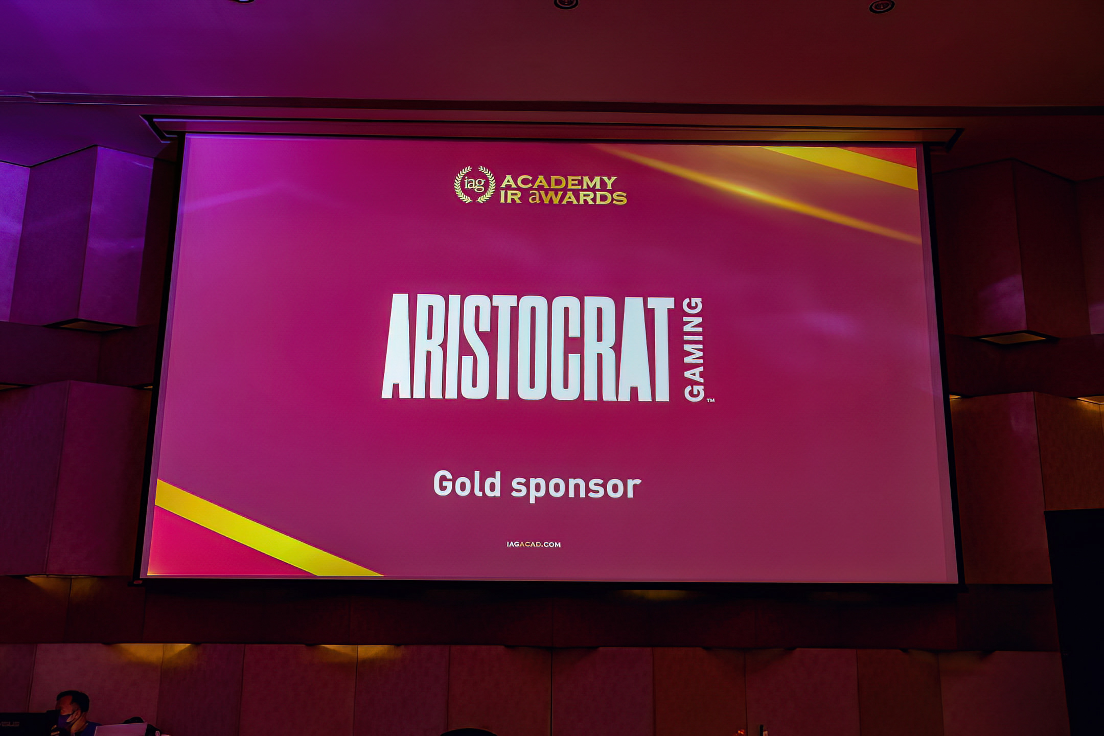 IR AWARDS > 2023 – IAG Academy