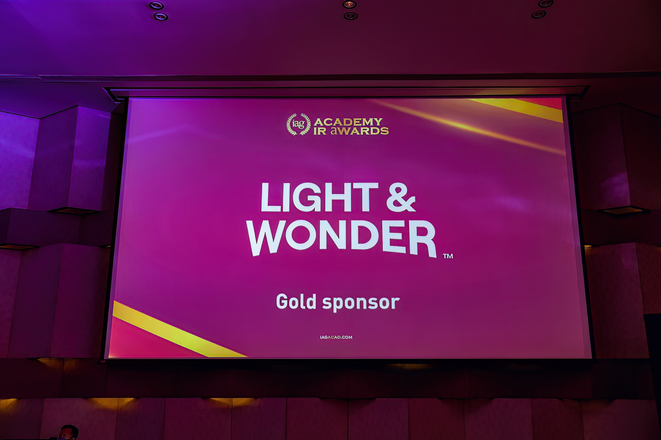 IR AWARDS > 2023 – IAG Academy